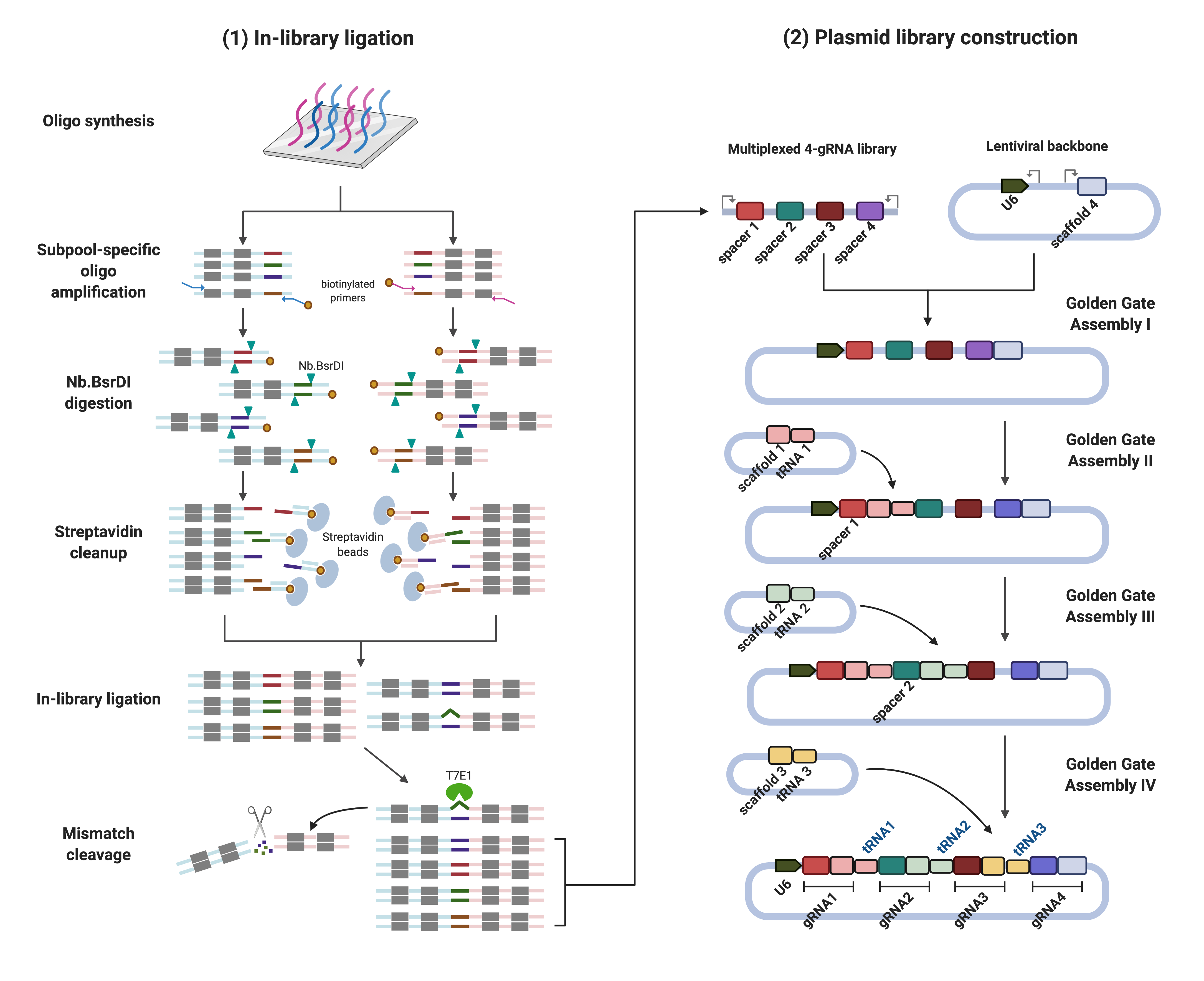 西湖云谷智药（杭州）基因科技有限公司